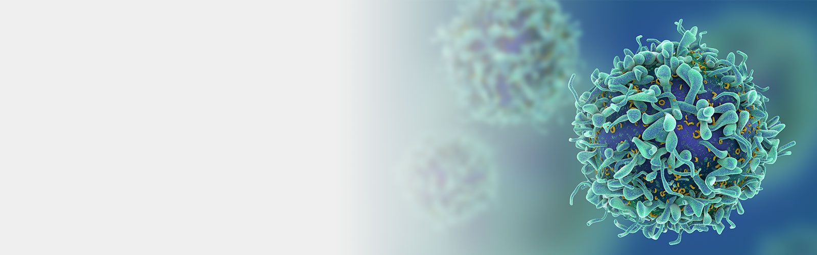 Cell and gene therapies